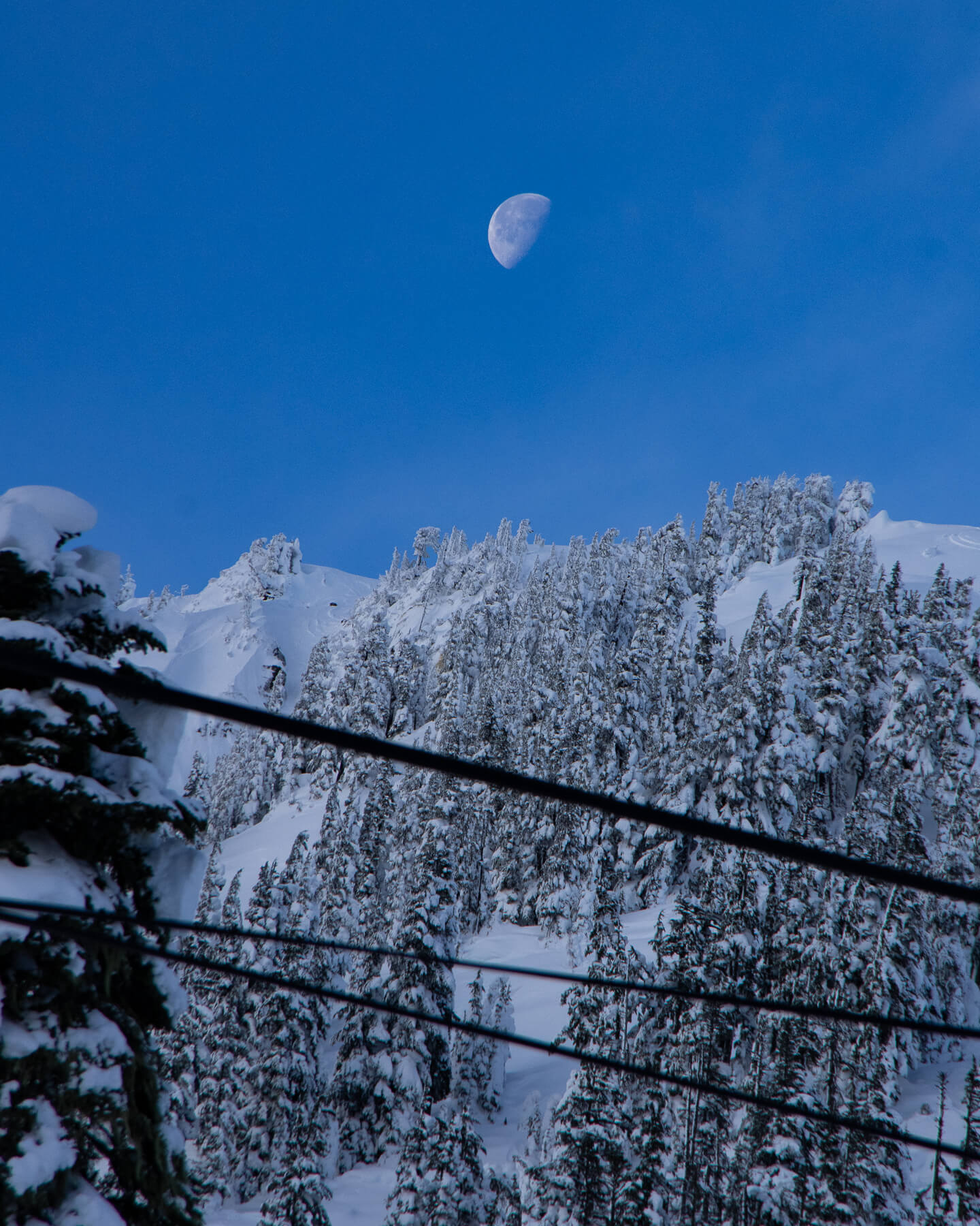 2025-26 Winter Season at Baker - Mt. Baker Ski Area