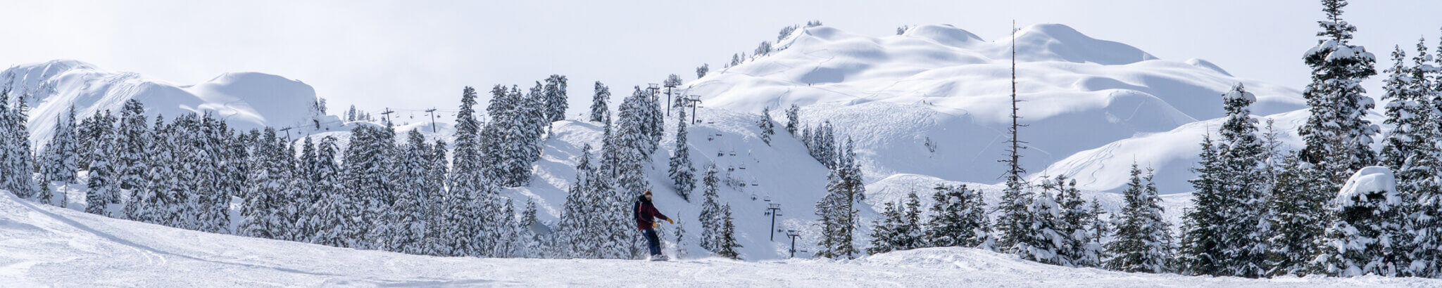 Daily Lift Tickets 2025-26 - Mt. Baker Ski Area